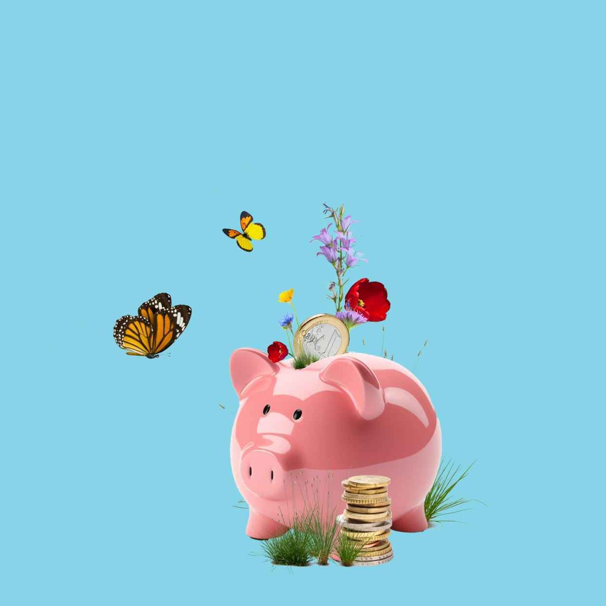 Duurzaam sparen | Spaar voor jezelf of je bedrijf | Triodos Bank