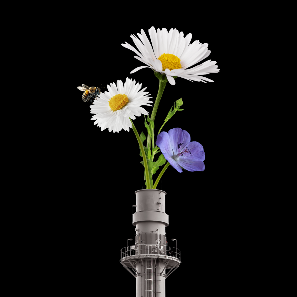 Duurzaam beleggen bij Triodos Bank