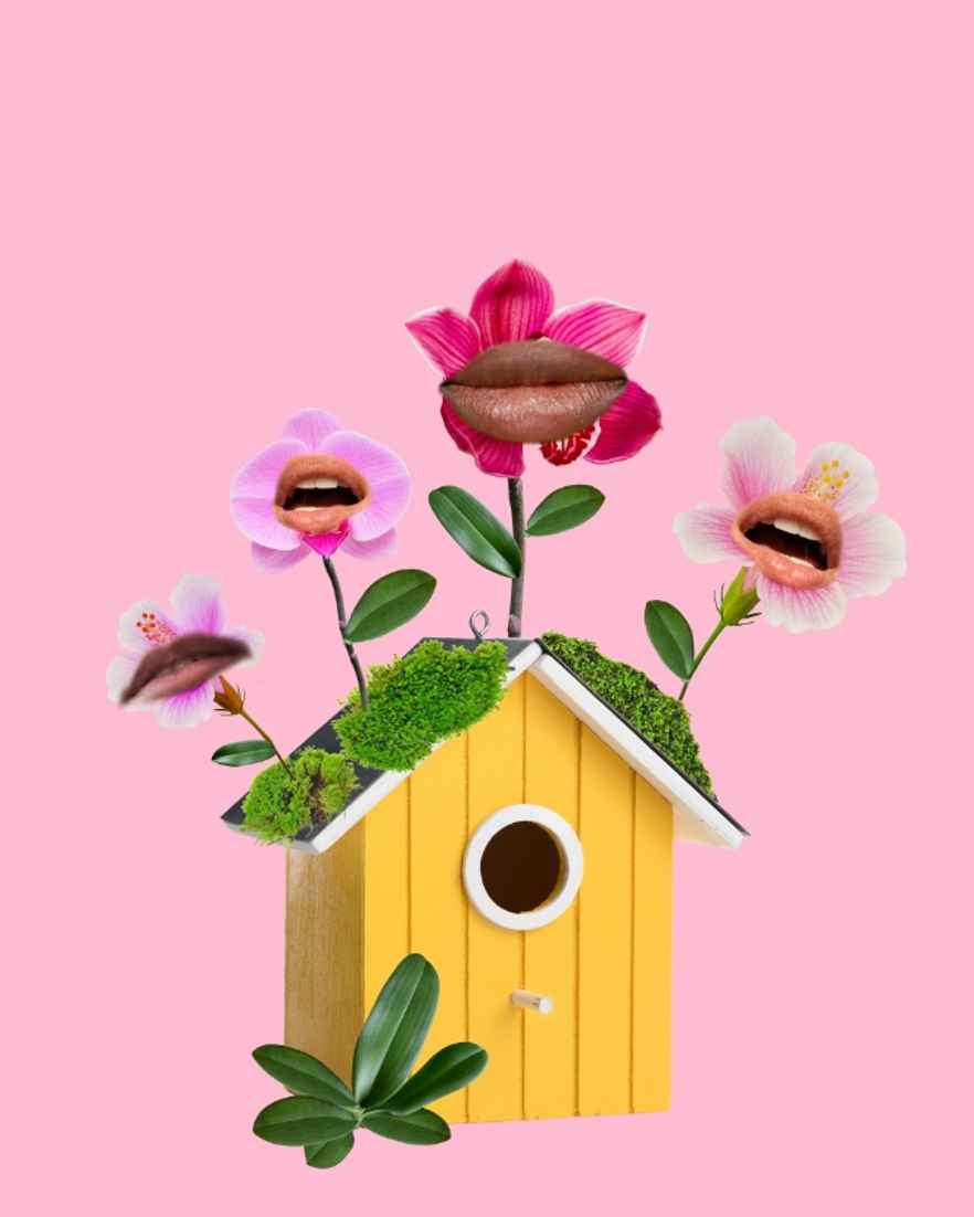 Triodos Bank | Een van de duurzaamste banken ter wereld