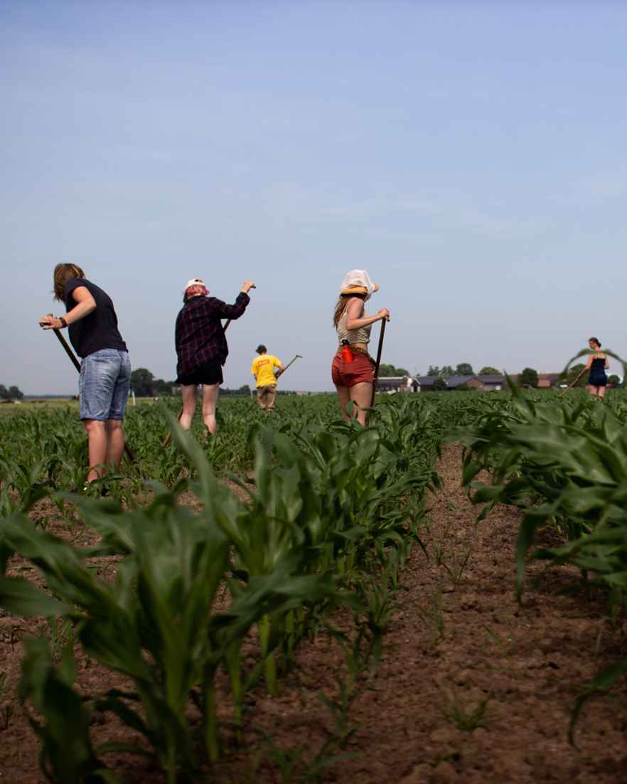 Over Triodos Bank | Duurzaam bankieren sinds 1980 | Triodos Bank