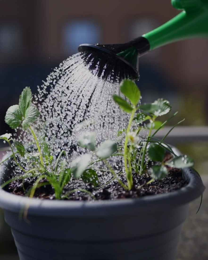 Triodos Bank | Een van de duurzaamste banken ter wereld