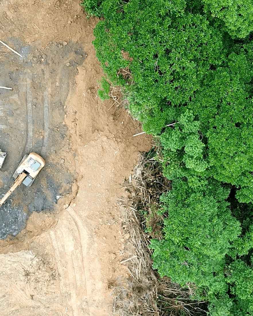 Triodos Bank | Een van de duurzaamste banken ter wereld