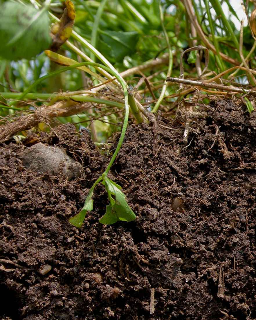 Triodos Bank | Een van de duurzaamste banken ter wereld