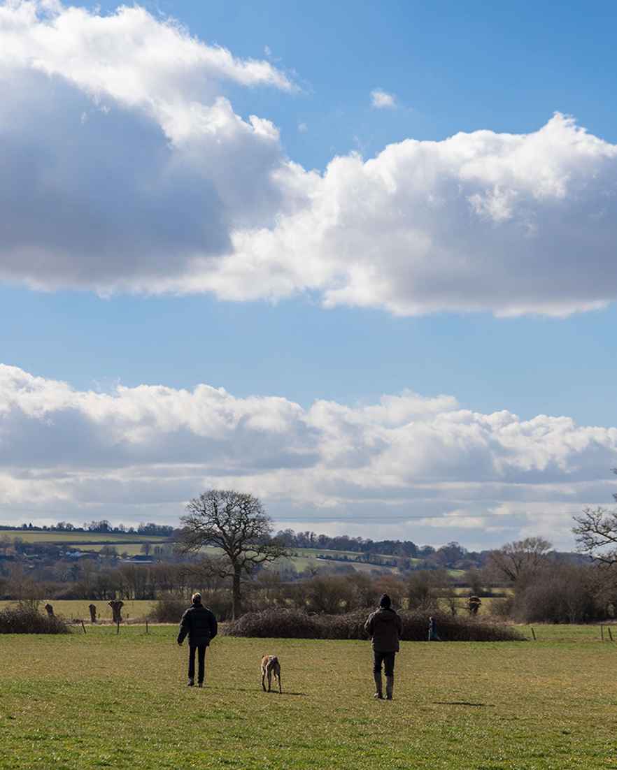 Triodos Bank | Een van de duurzaamste banken ter wereld