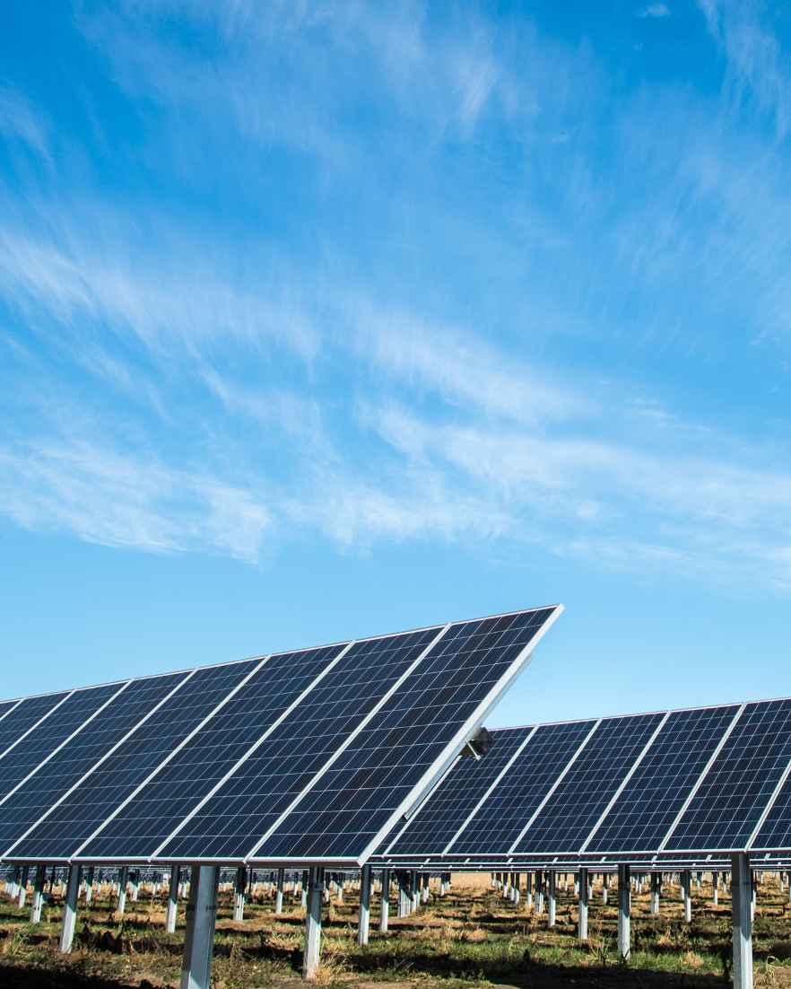 Triodos Bank | Een van de duurzaamste banken ter wereld