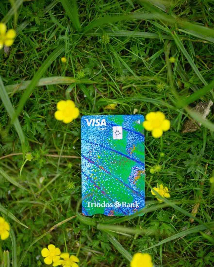 Triodos Bank | Een van de duurzaamste banken ter wereld