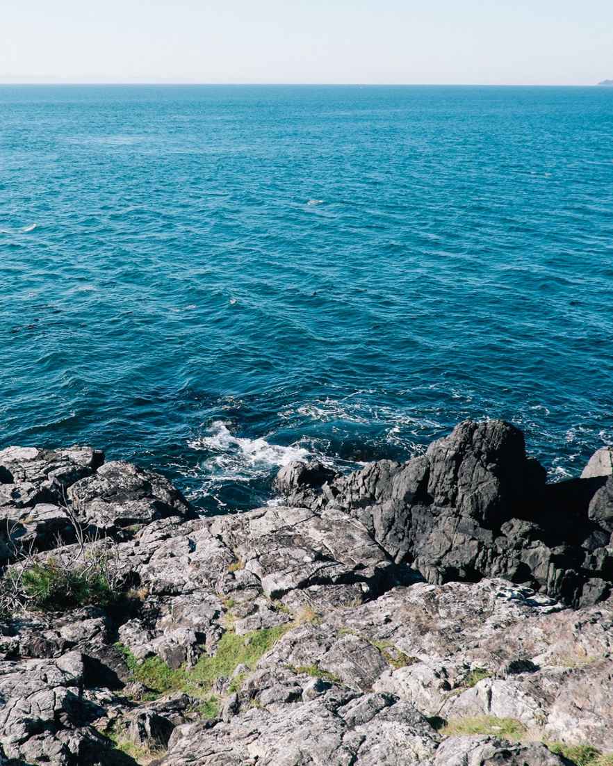 Triodos Bank | Een van de duurzaamste banken ter wereld