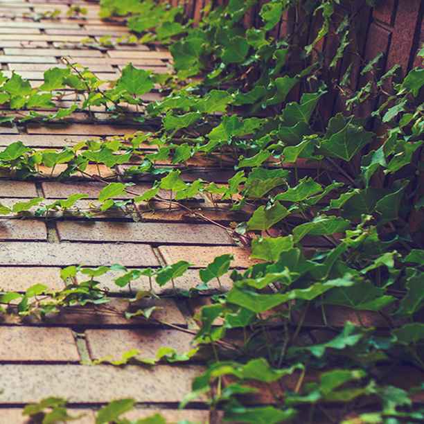 Triodos Bank | Een van de duurzaamste banken ter wereld