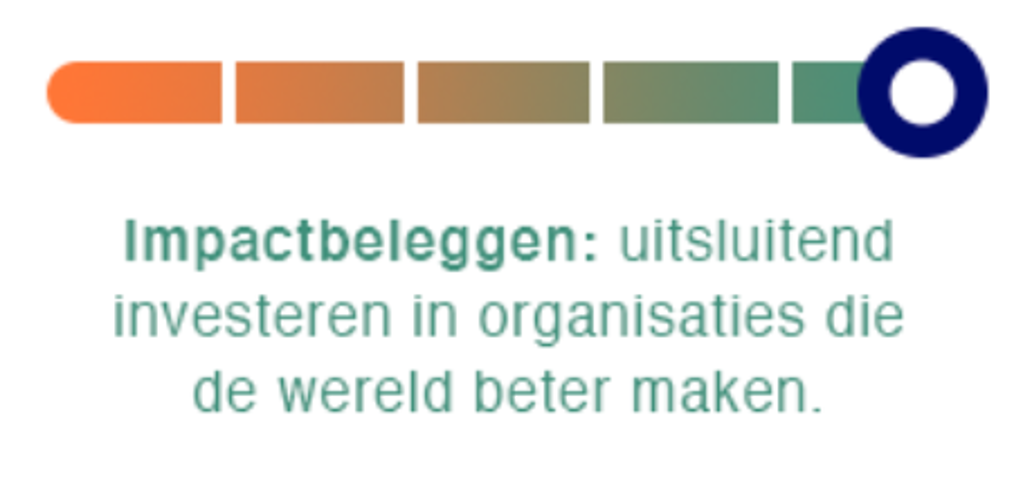 De risico’s van beleggen | Triodos Bank