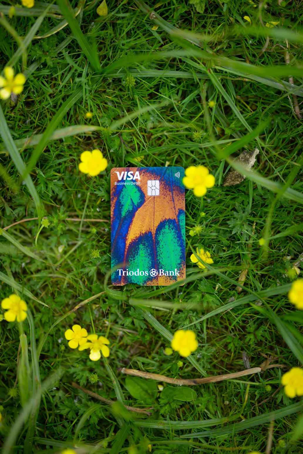 Je nieuwe zakelijke Triodos Betaalpas | It's your ticket to positive ...