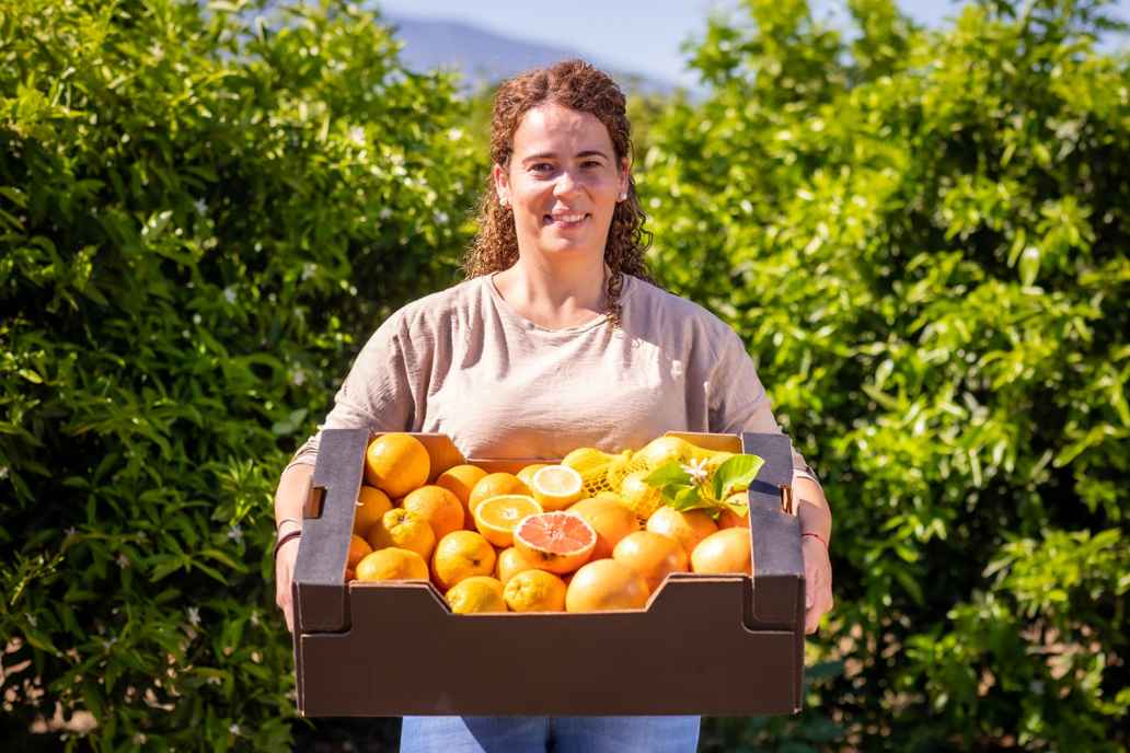 Vers geoogste fruit en groente direct van de boer